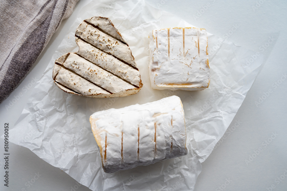 French cheeses heartshaped, squared and cylindrical neufchatel cow ...