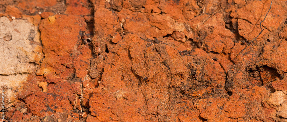 Sedimentary rocks with a high content of iron oxide. Red soil, loam ...
