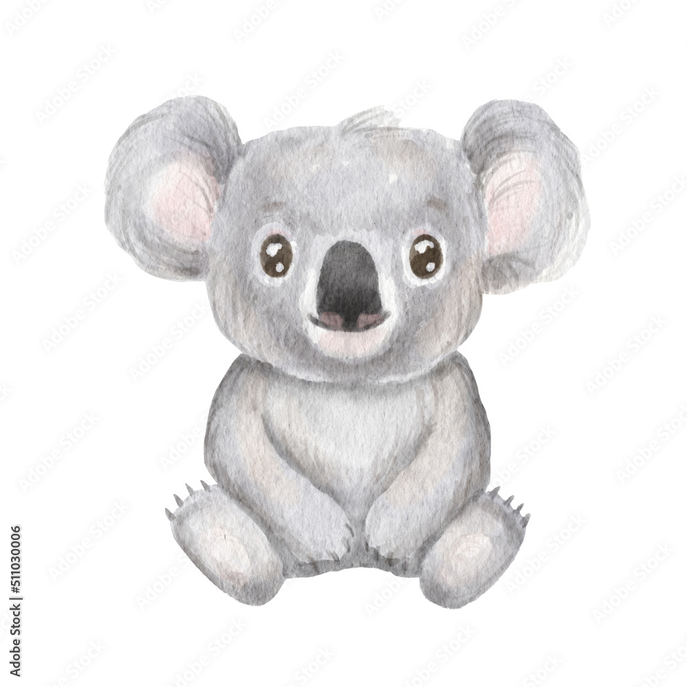Australian Koala Drawing