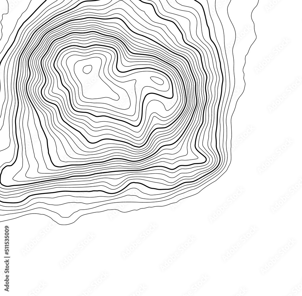 Topographic map contour background. Topo map with elevation. Contour ...