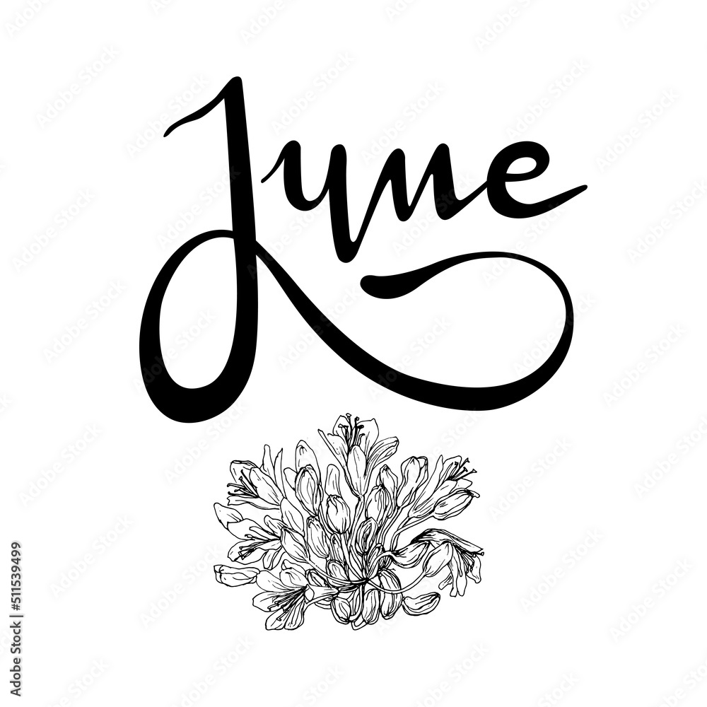 Vector de Stock Letrero de letras escritas a mano y vectorizado "June ...