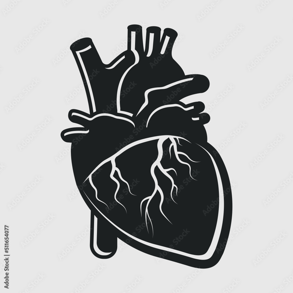 Realistic Heart Silhouette SVG Bundle Cut File, Anatomical Heart Svg ...
