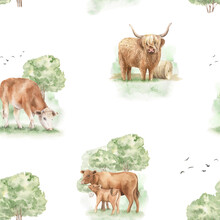 Highland Cow Pattern Background Free Stock Photo - Public Domain Pictures