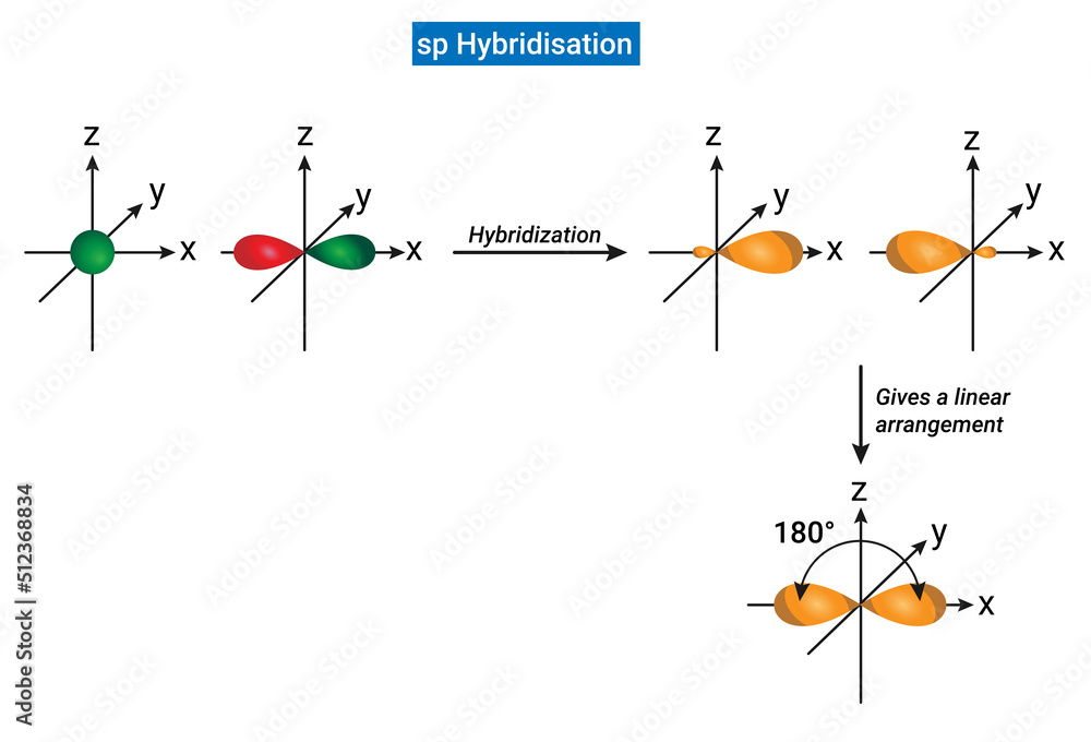 Стоковое векторное изображение «sp Hybridisation: One s and one p ...