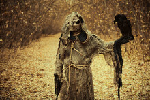 Scarecrow Free Stock Photo - Public Domain Pictures