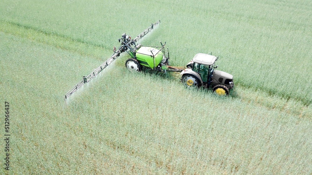 tractor with field sprayer sprays pesticides or fertilizer on a wheat ...