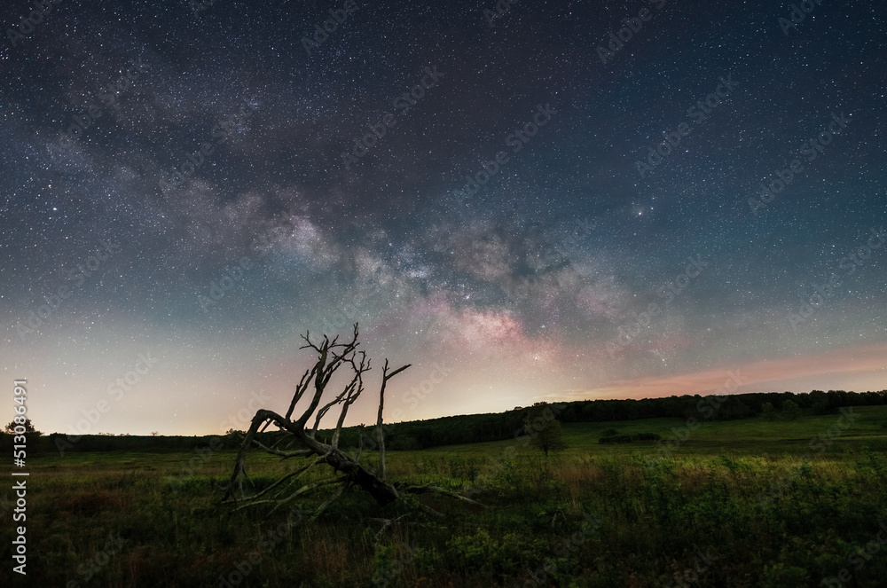 night sky with milky way and decayed tree lying on a big meadow with ...