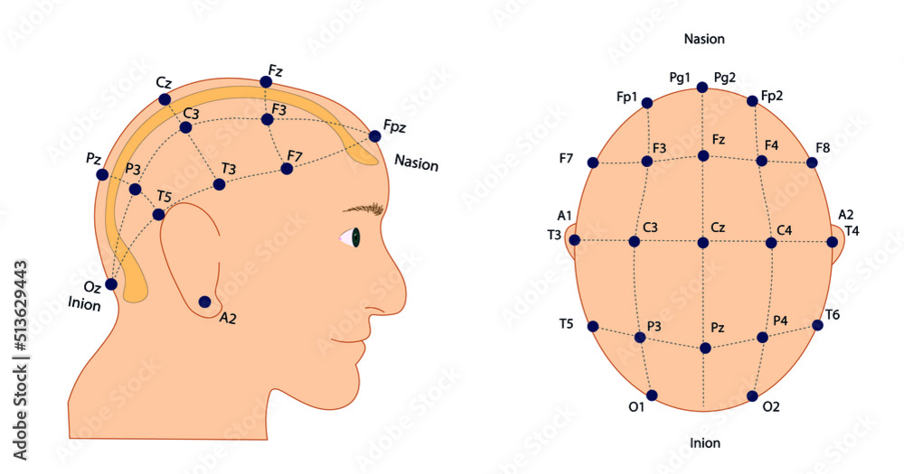 EEG (electroencephalography) Electrodes placement International System ...