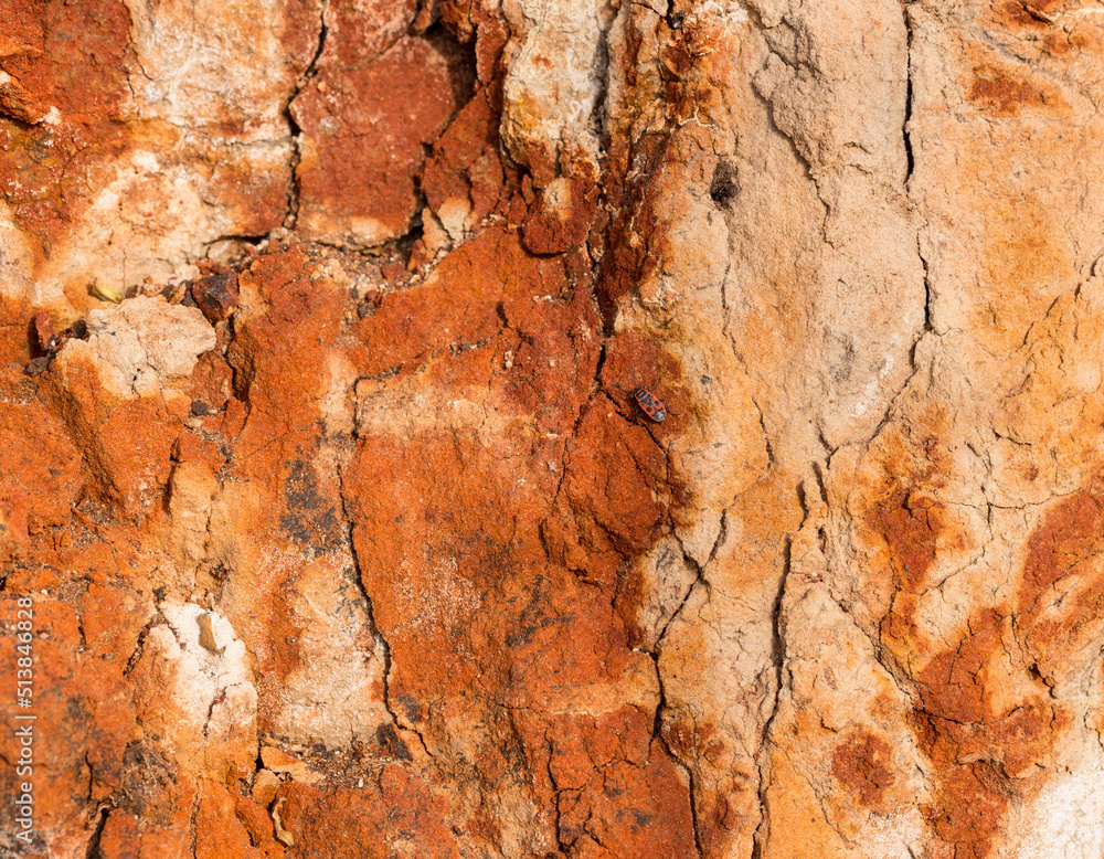 Sedimentary rocks with a high content of iron oxide. Red soil, loam ...