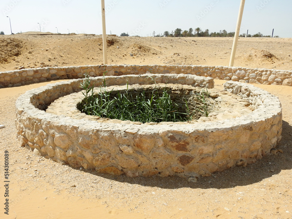 Prophet Moses Springs, Water wells and palms in Sinai Peninsula, Ras ...