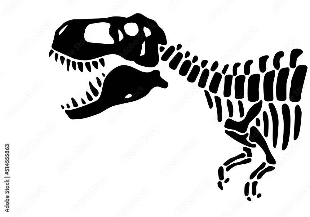 T rex dinosaur skeleton negative space silhouette.Prehistoric creature bones isolated black and ...