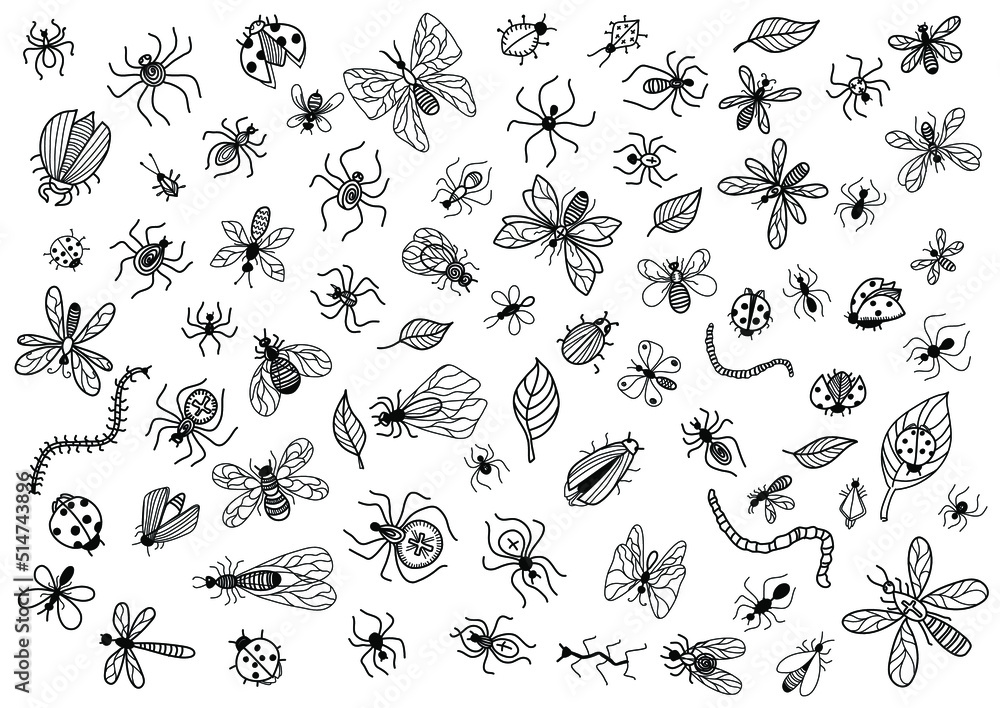Insects set vector hand drawn outline illustration isolated on white ...