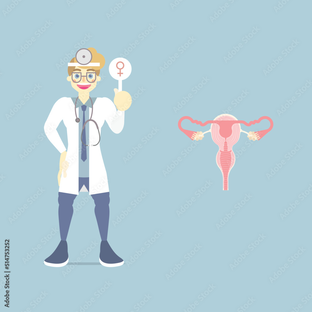 doctor holding woman sign with female reproductive system, internal ...