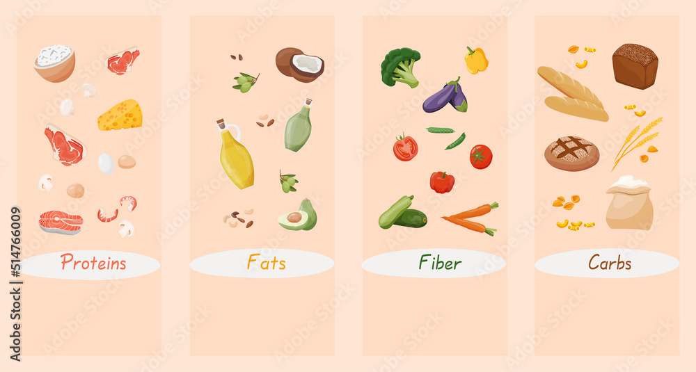 Table of macronutrients. Fiber, proteins, fats and carbs presented by ...