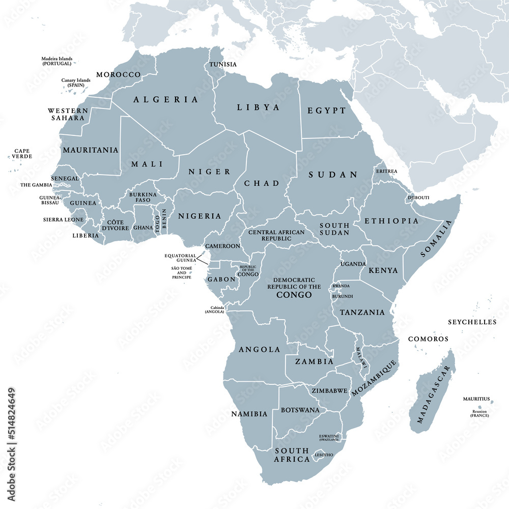 Africa, single countries, gray political map. Largest continent ...