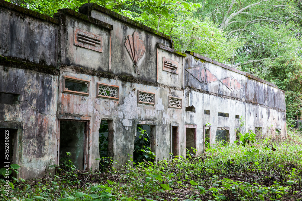 Remains of the destroyed houses of the Armero Town covered by trees and ...