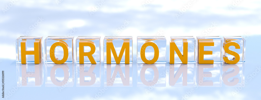 Hormones. The word hormones cubes with burnt letters. 3d rendering ...