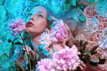 Gorgeous Flower Fairy Free Stock Photo - Public Domain Pictures