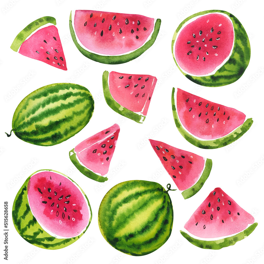 watercolor set of clipart watermelon hand painted illustration for ...