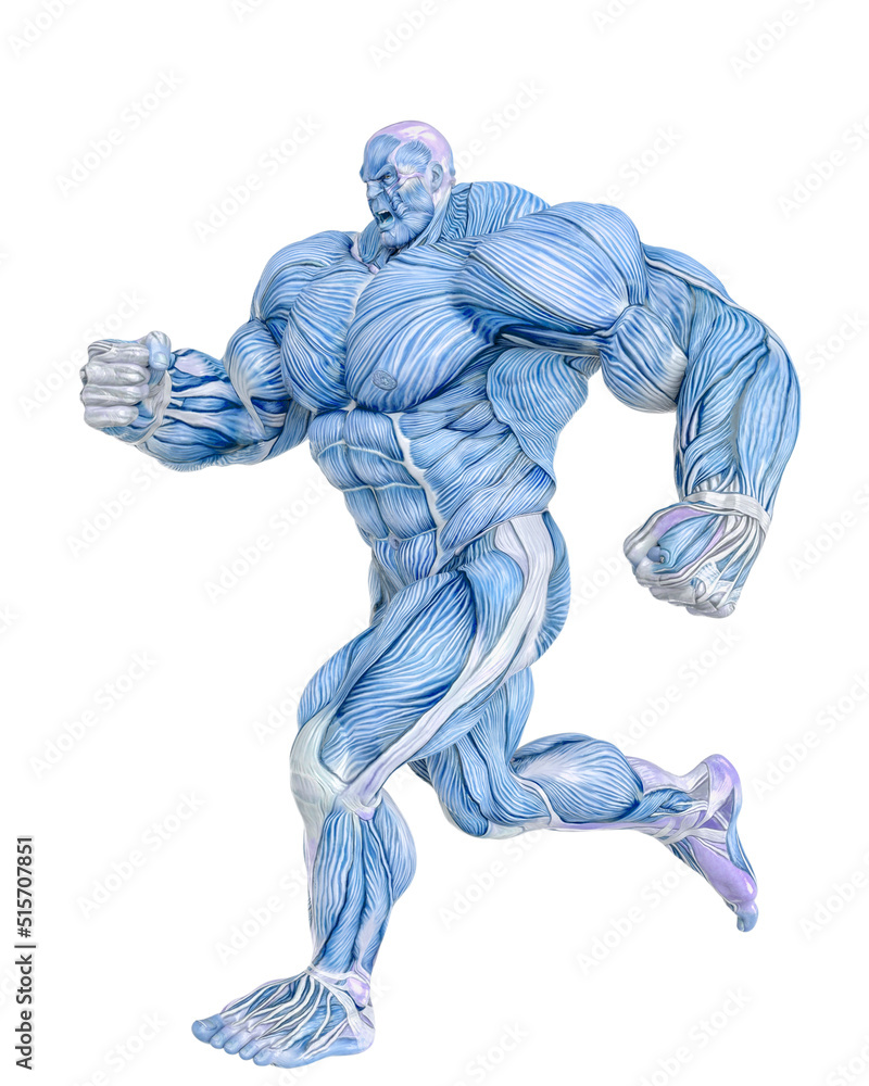 muscle maps of a strong man running on side view Stock Illustration ...