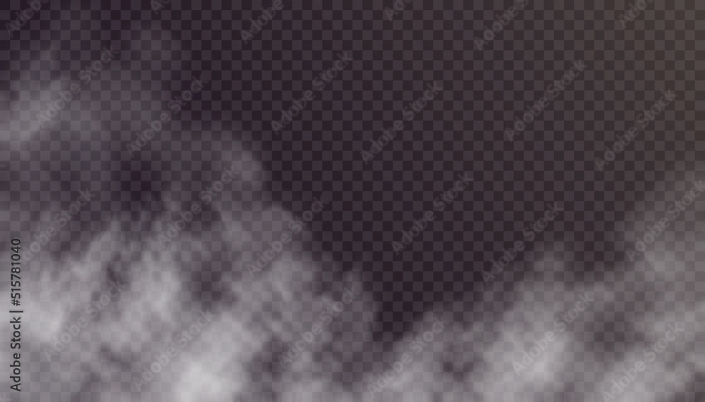 Translucent smoke isolated on a transparent background. Steam effect ...