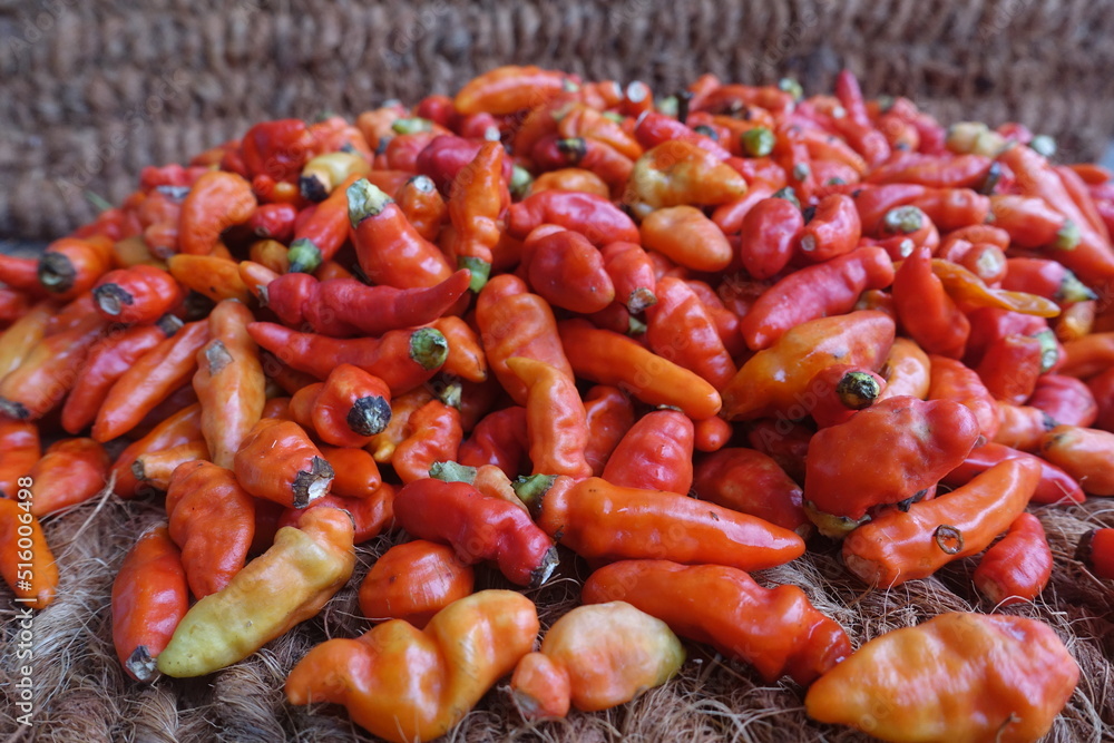 Cayenne pepper (Capsicum frutescens) is a fruit and plant member of the ...