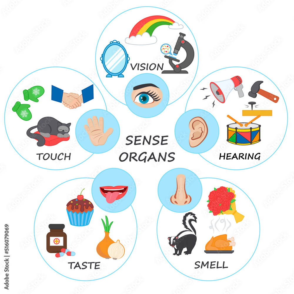 Стоковий вектор Vector illustration with five human senses: touch ...