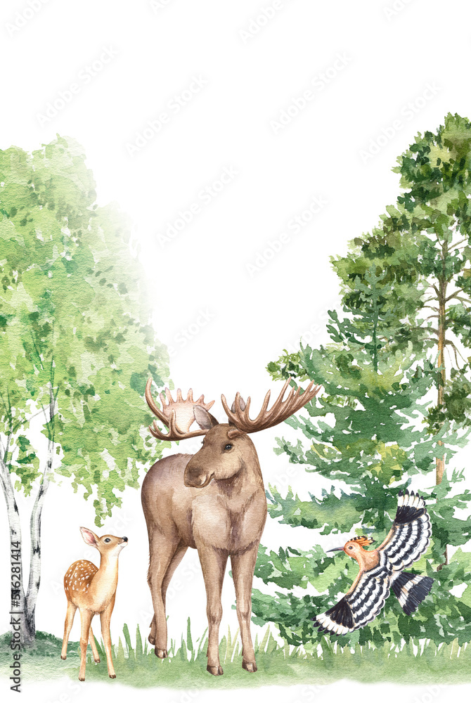 Watercolor cute fawn, moose, hoopoe, forest trees illustration ...