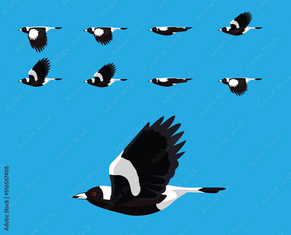 Bird Australian Magpie Flying Cartoon Vector Animation Frame Stock ...