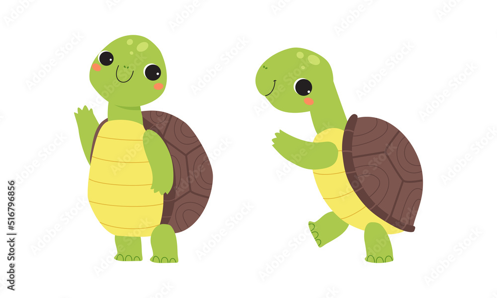 Cute turtle baby animals set. Tortoise reptilian animal character ...