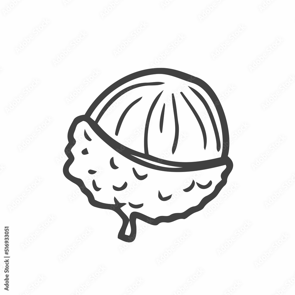 Lychee fruit graphic black white isolated sketch illustration vector ...