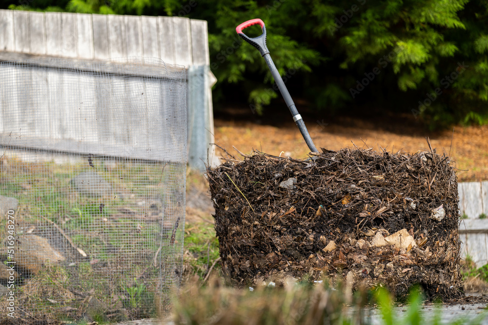 turning a compost pile in a community garden. compost full of ...