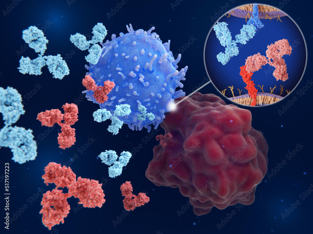 Immune Checkpoint Inhibitors Interaction Between Pd 1 Blue And Pd L1