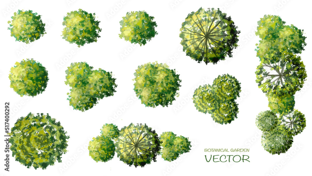 Vector green tree top view isolated on white background for landscape ...