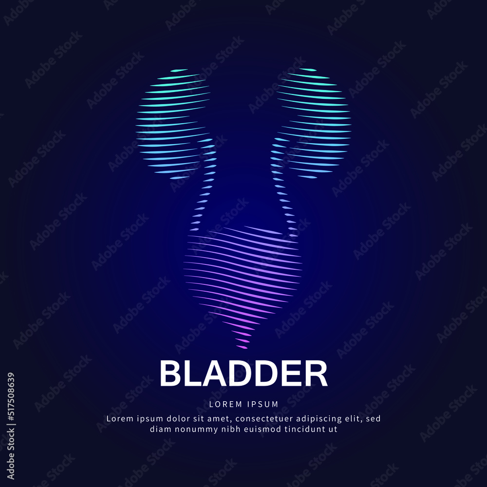 Vetor Human bladder medical structure. Vector logo bladder color ...
