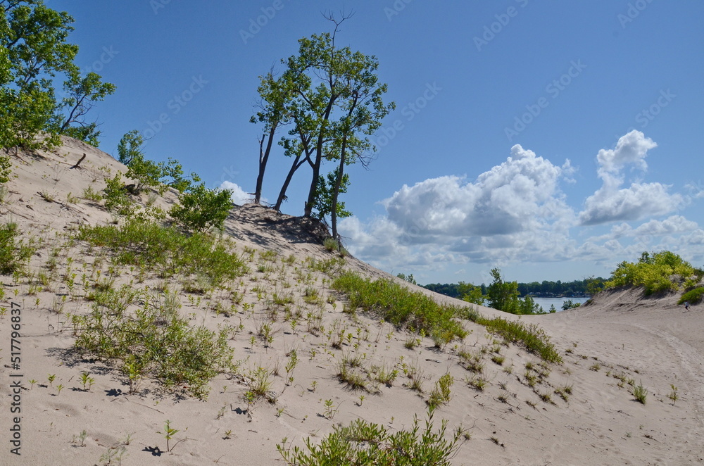 Dunes Beach sand dunes at Sandbanks Provincial Park in Ontario, Canada ...