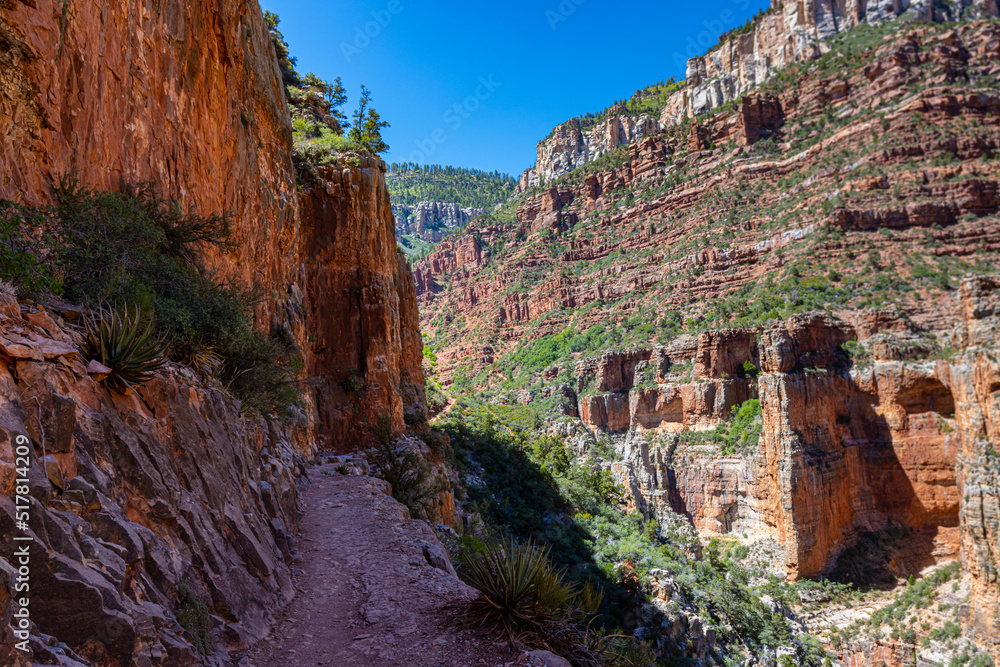 The North Kaibab Trail Ascending Through Redwall Canyon, Grand Canyon ...