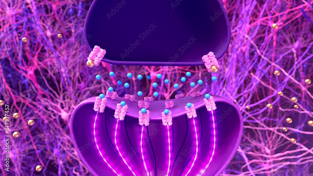 Synapse and neuron. Transmission of the nerve signal between two ...