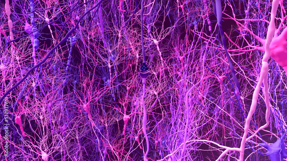 Neurons brain addiction, Synapse and neuron. Transmission of the nerve signal between two ...