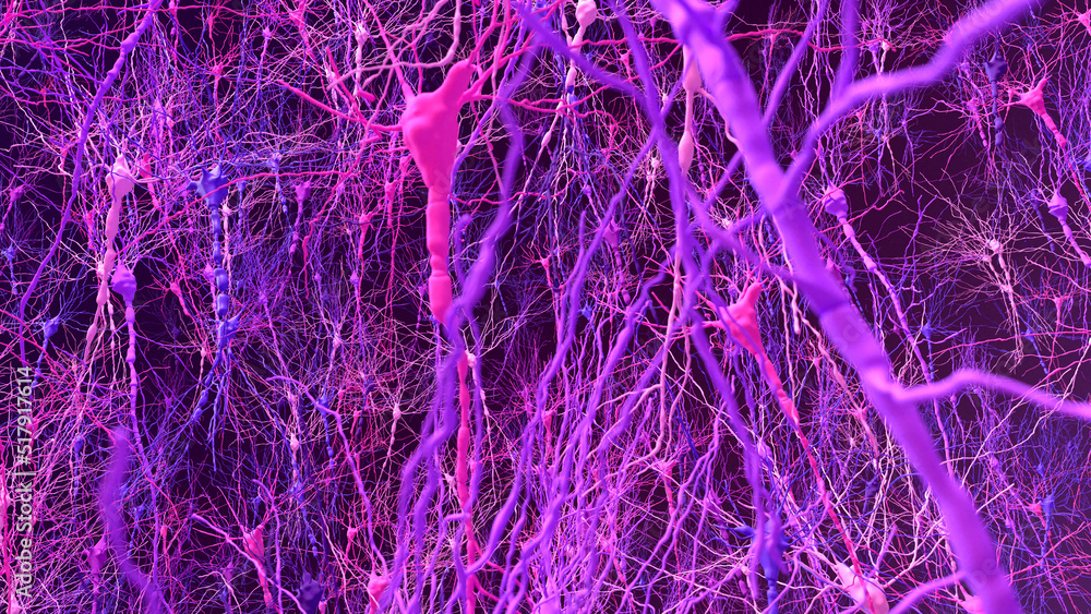 Neurons Brain Addiction Synapse And Neuron Transmission Of The Nerve Signal Between Two