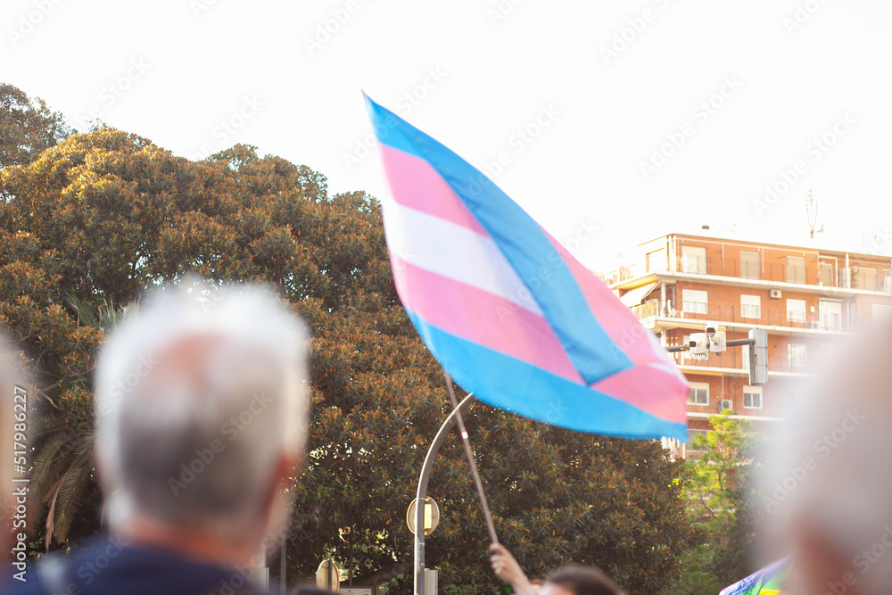 Transgender flag having five horizontal stripes of three colors—light ...