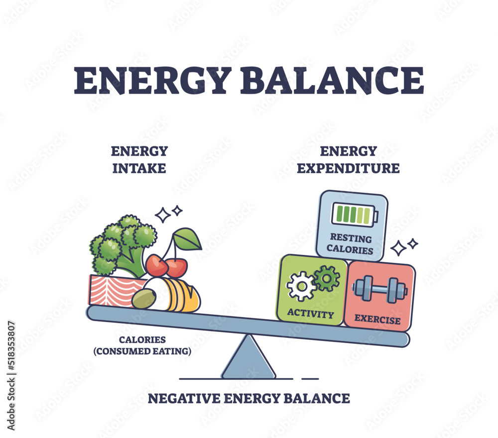 Energy balance with calories intake or daily expenditure outline ...