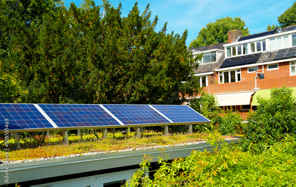 Green roof with flowering sedum plants and a row of blue solar panels ...