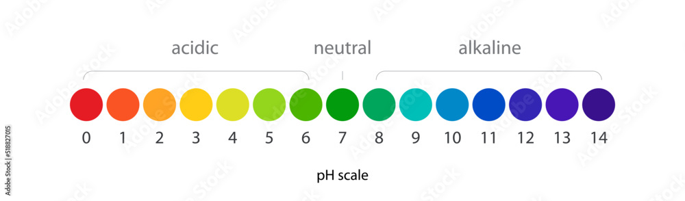 pH scale vector Infographic acid-base balance. Indicator diagram acidic alkaline measure ...