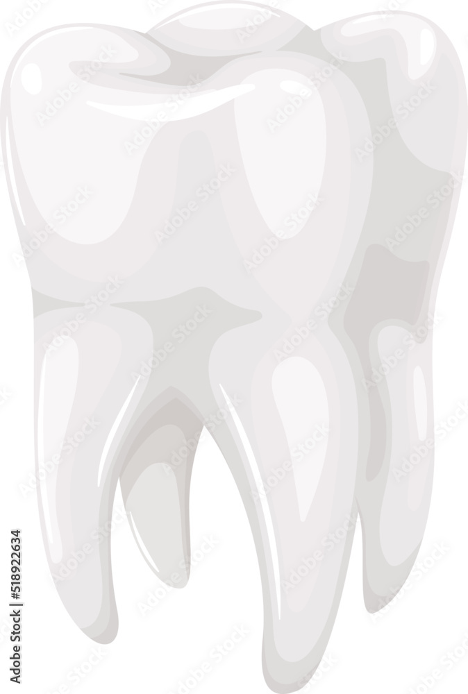 Human tooth vector illustration. Cartoon isolated 3d white single molar ...