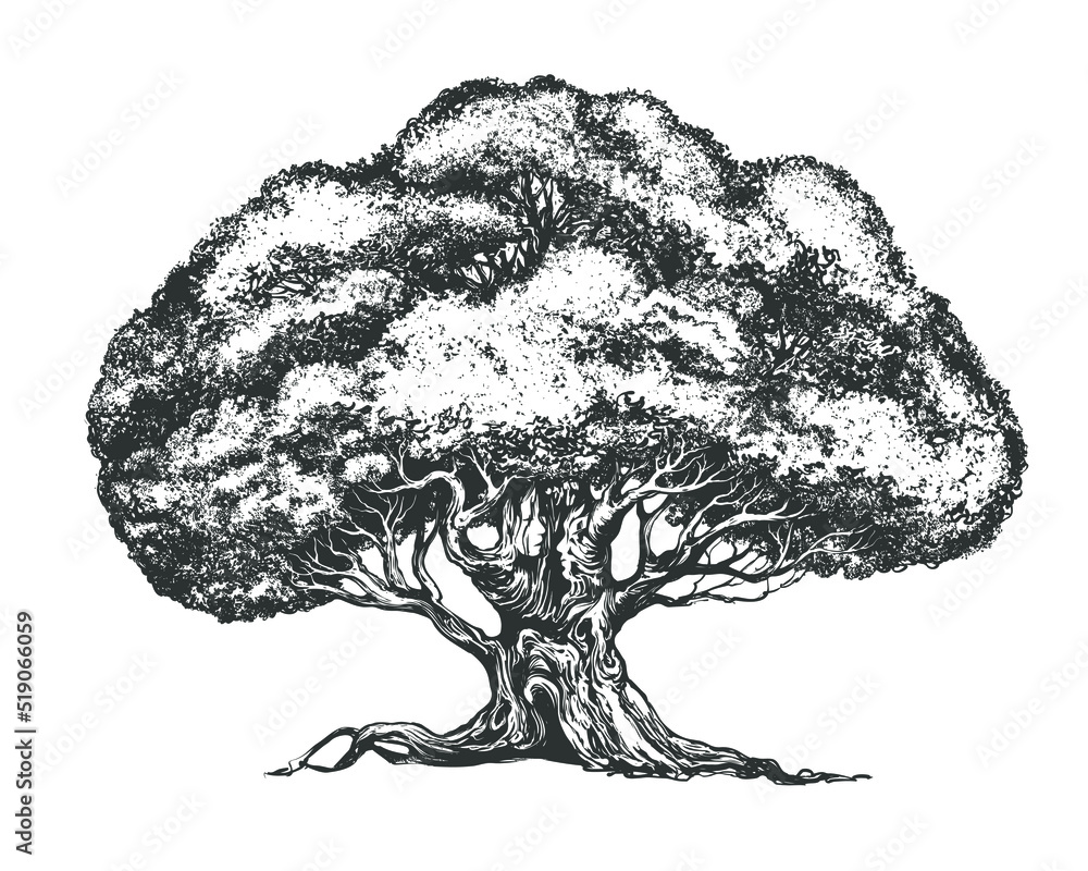 family tree hand drawn vector illustration realistic sketch Stock ...