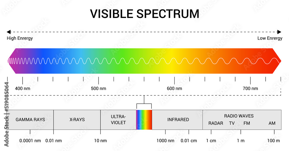 Color Wavelength Chart Biology