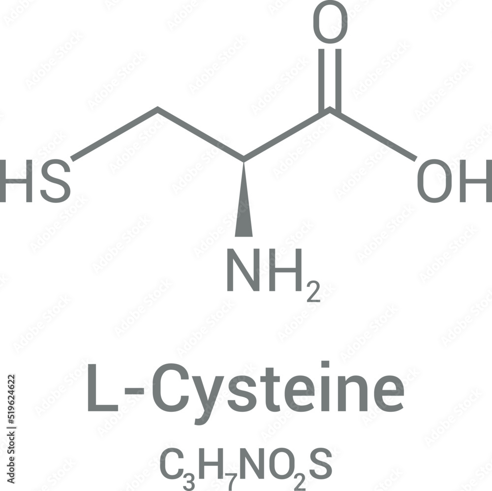 chemical structure of L-cysteine (C3H7NO2S) Stock Vector | Adobe Stock