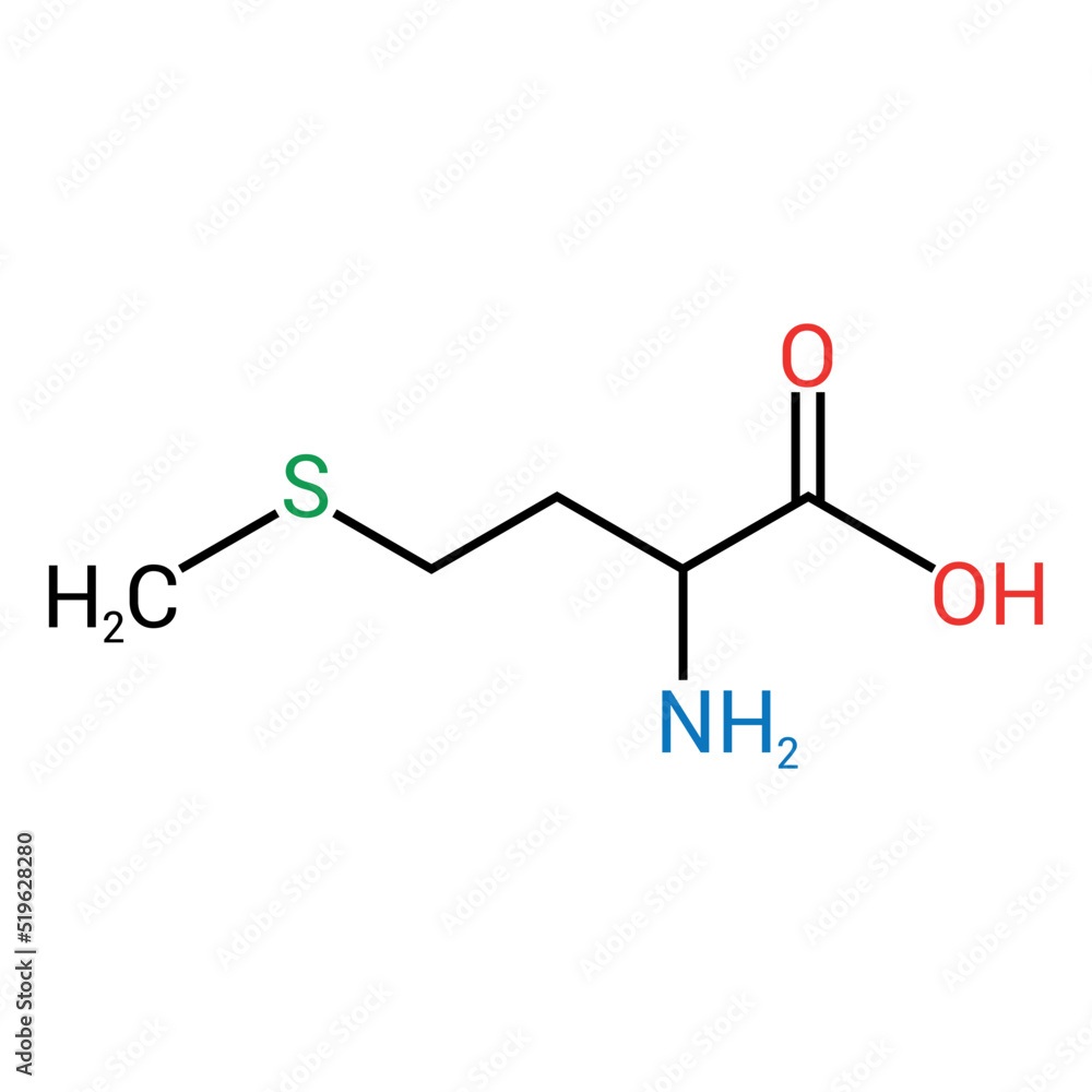chemical structure of Methionine (C5H11NO2S) Stock Vector | Adobe Stock