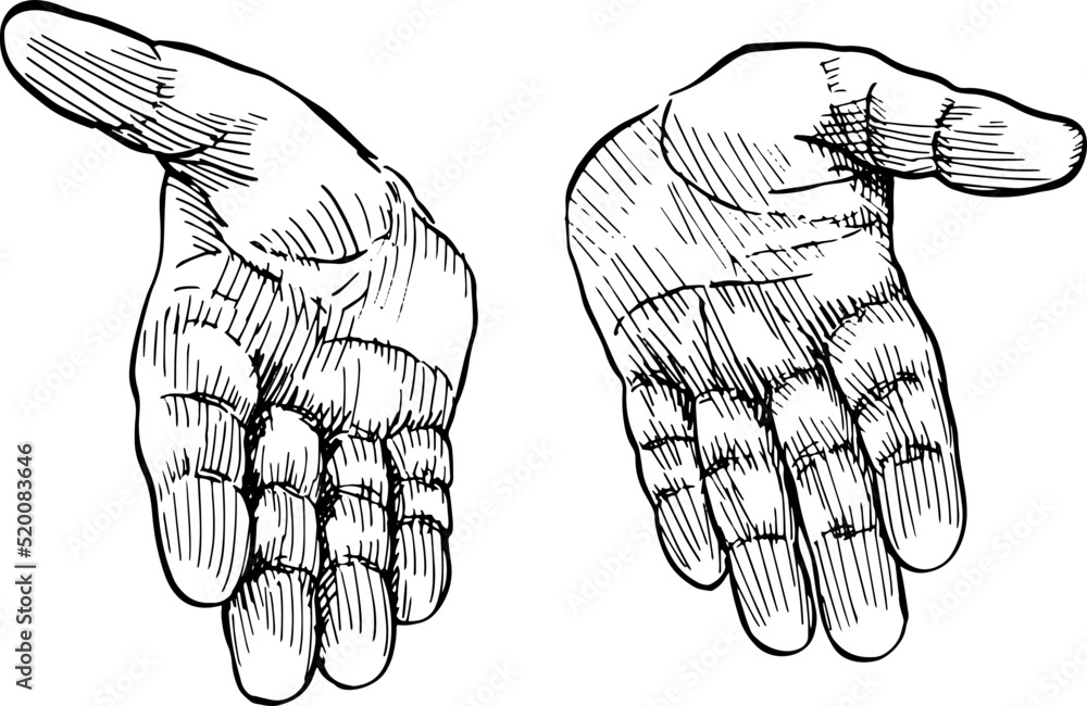 Close up of two hands with palms facing up showing something. Hand ...